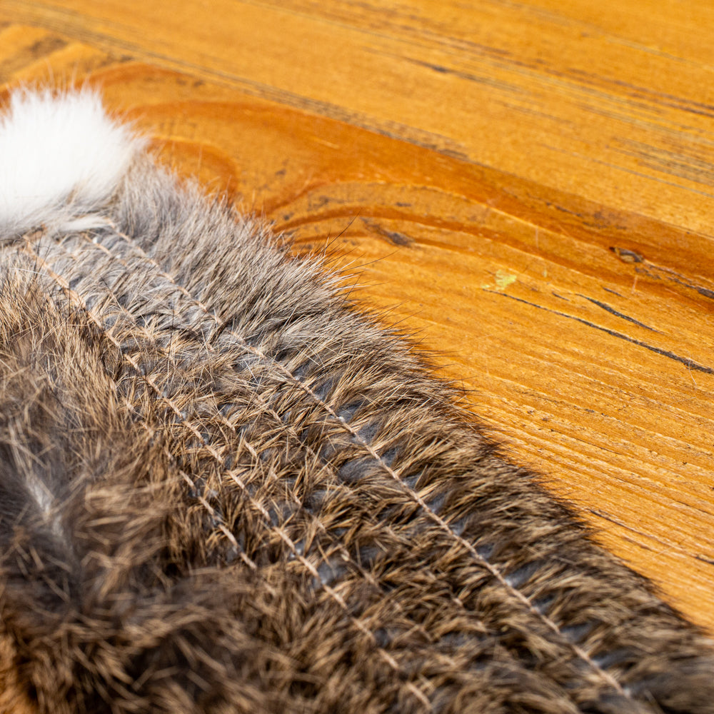 Wild-Tug Rabbit Bungee Tug Toy – Wildhunde