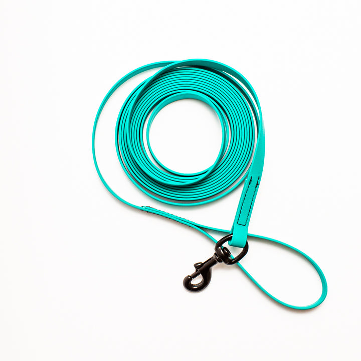 Long Lines for Dogs | Long Training Lead – Wildhunde