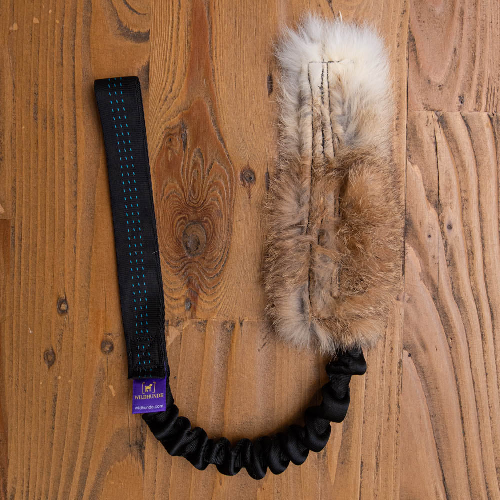 Wild-Tug Rabbit Bungee Tug Toy – Wildhunde