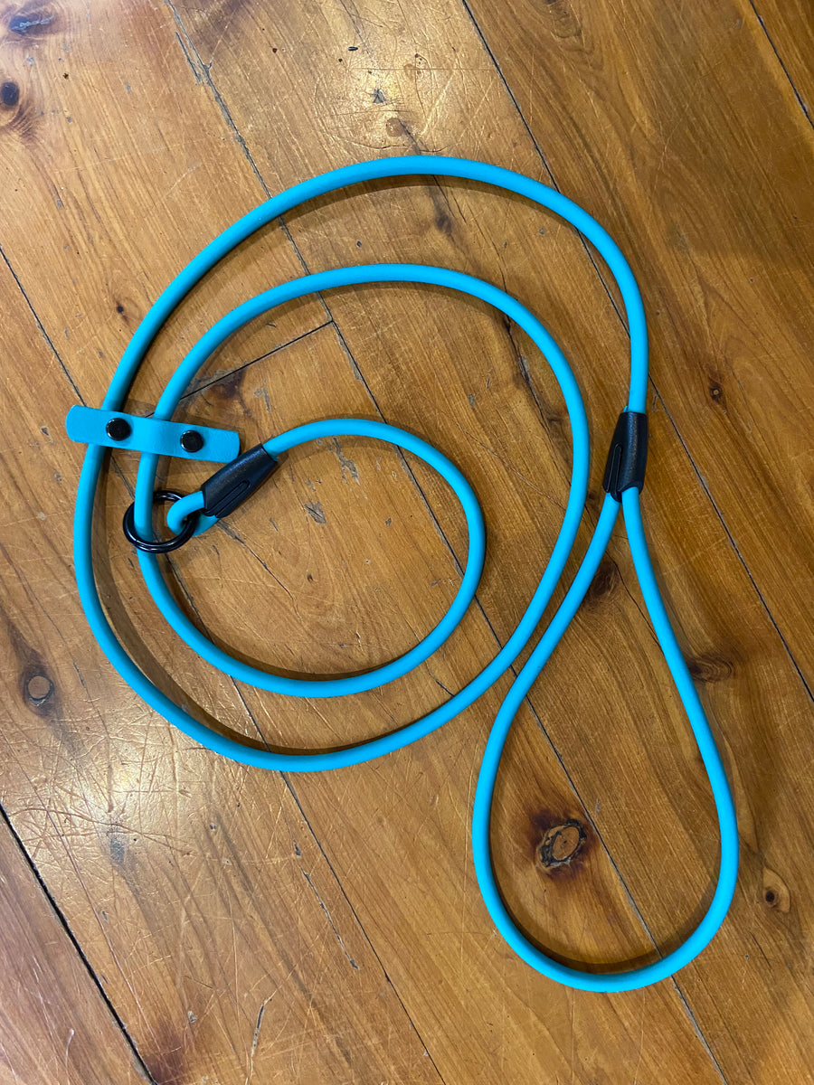 Biothane 1/4"(6mm) Beta Rope Slip Leash – Wildhunde