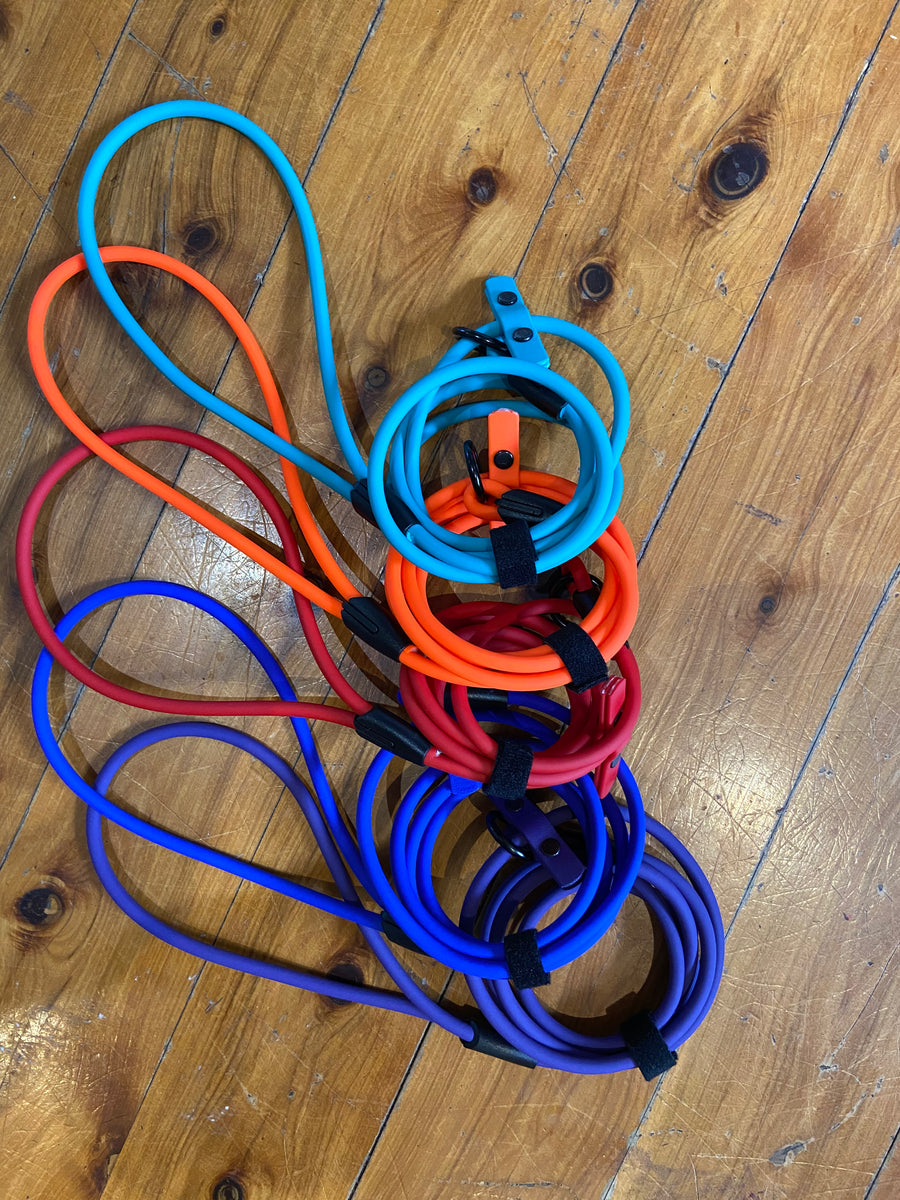 Biothane 1/4"(6mm) Beta Rope Slip Leash – Wildhunde