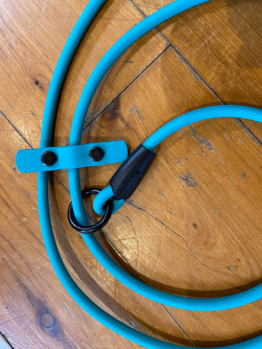 Biothane 1/4"(6mm) Beta Rope Slip Leash – Wildhunde